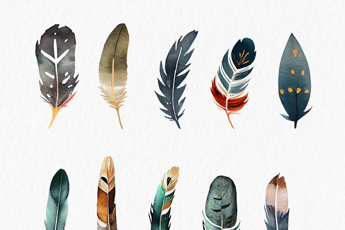 Boho feather Watercolor Clipart PNG, an Animal Illustration by MyLittleMeow