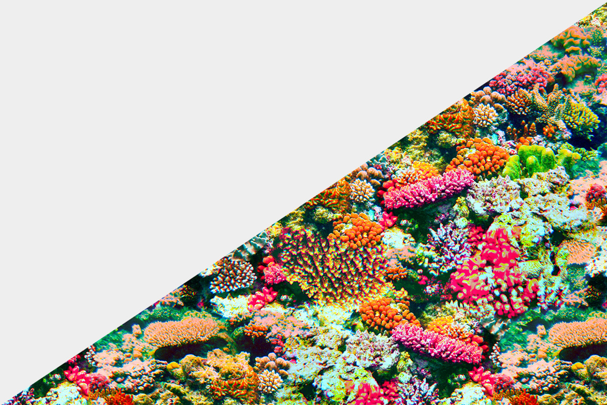 The Great Barrier Reef Textures, a Texture Graphic by Hello Mart ...