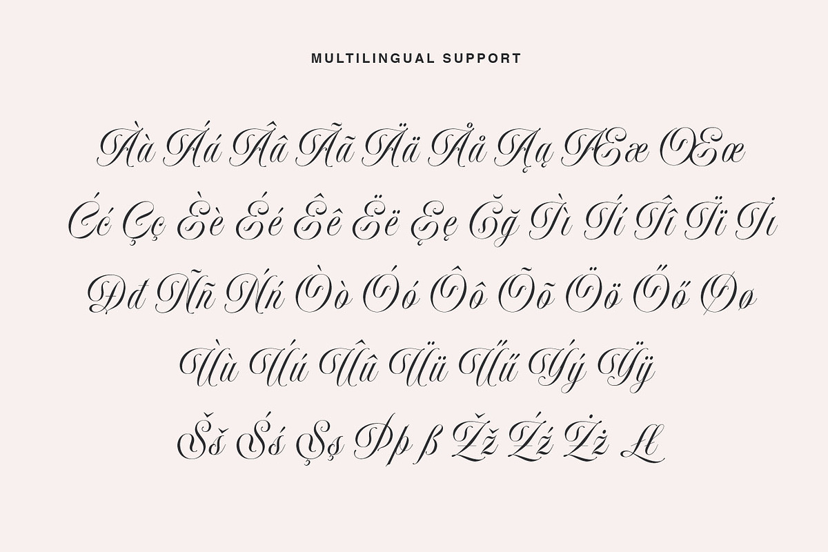 Delirian Script & Ornaments, a Script Font by Andrey Sharonov