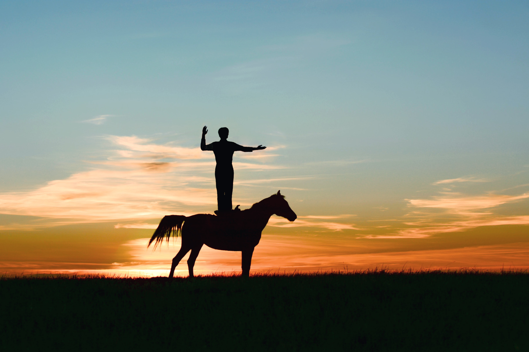 Man standing on horse and showing, a Person Photo by Concept & Horses