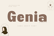 Genia, a Sans Serif Font by productype1