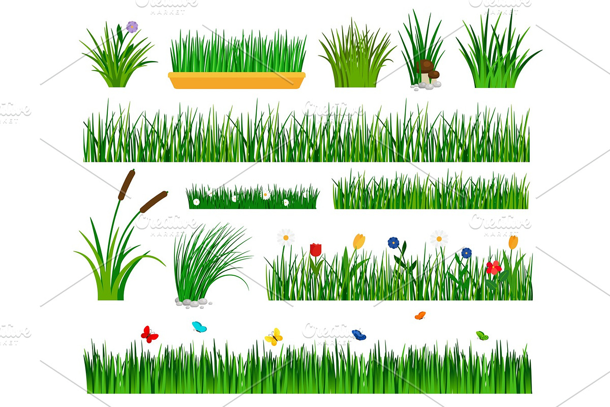 Growing grass template for garden, an Illustration by Stock-Smart-Start