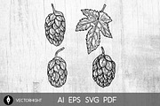 Set of beer hop illustrations, an Object Graphic by Vectorhight