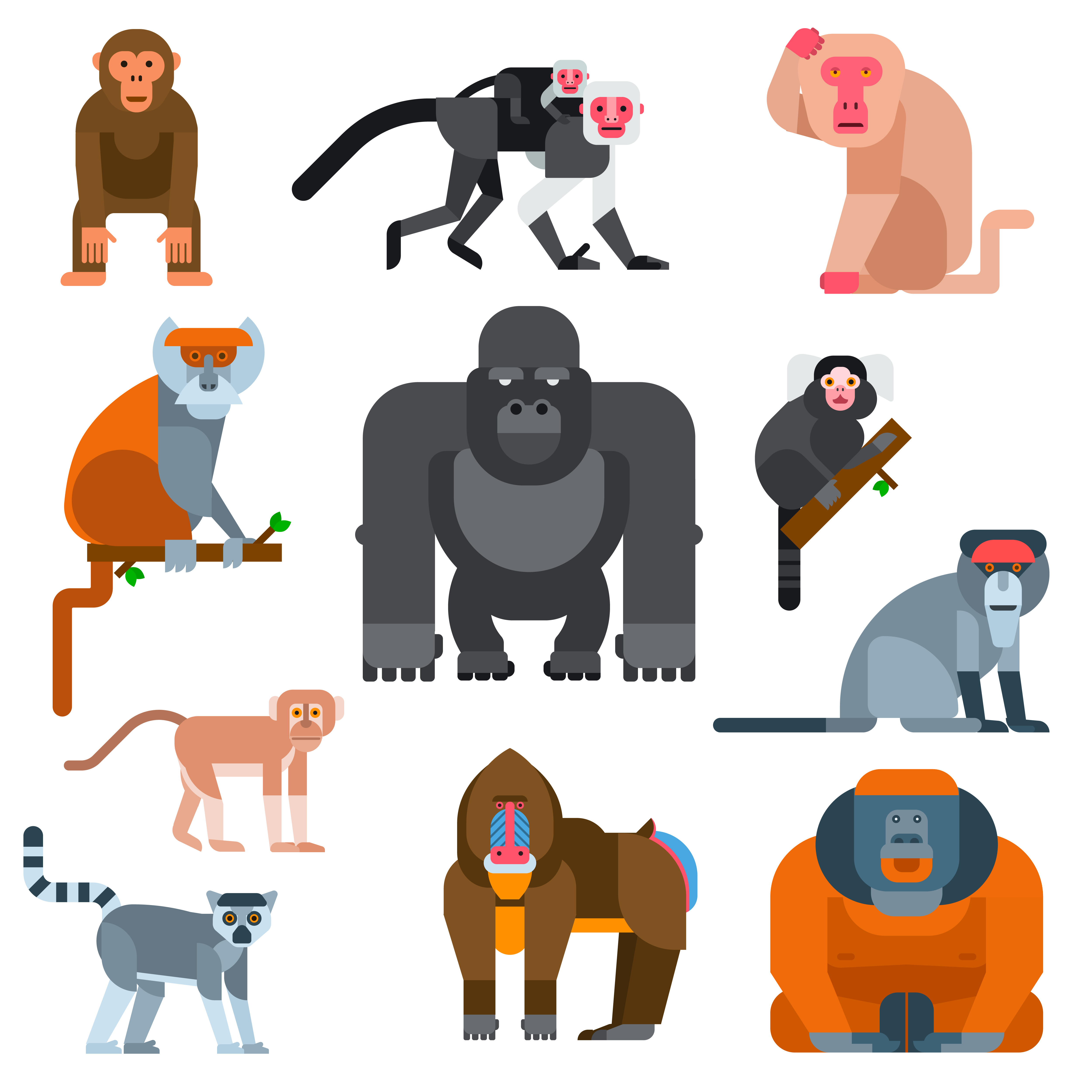 Monkey vector illustration | Animal Illustrations ~ Creative Market