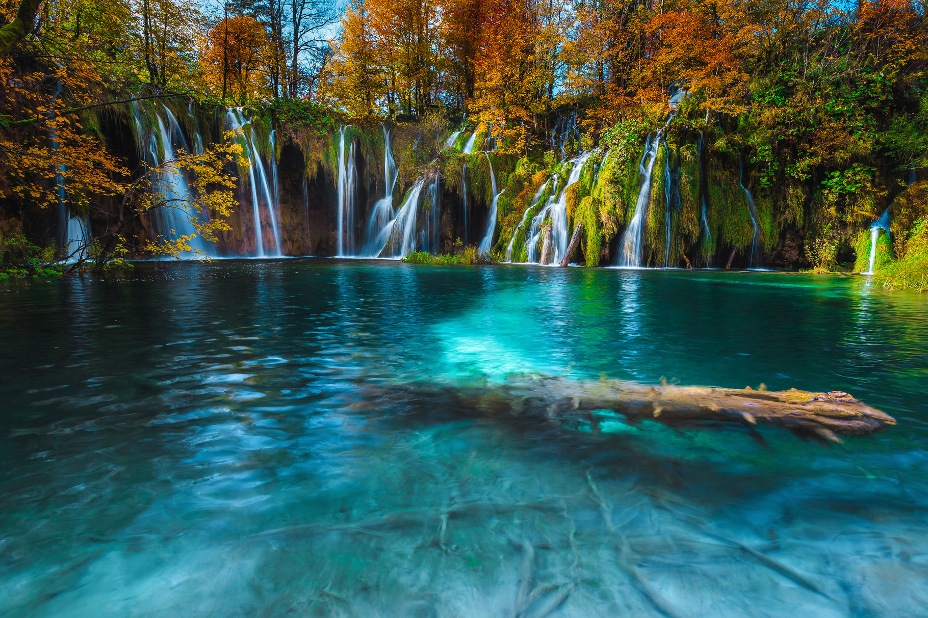 Autumn forest with waterfalls, a Nature Photo by Alpine Dreams
