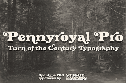 Risque Pro, a Font by Stiggy & Sands