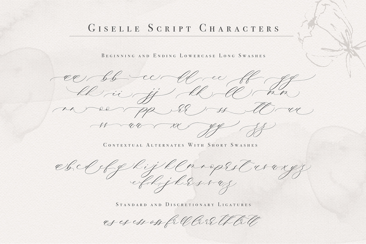 Giselle Script, a Script Font by Calamar Studio