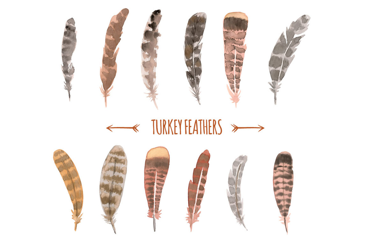 Watercolor Turkey Feathers, a Decorative Illustration by KatPush
