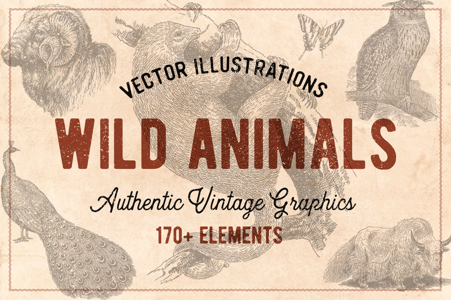 176 Vintage Wild Animals (Vector), an Animal Illustration by Brigantine ...