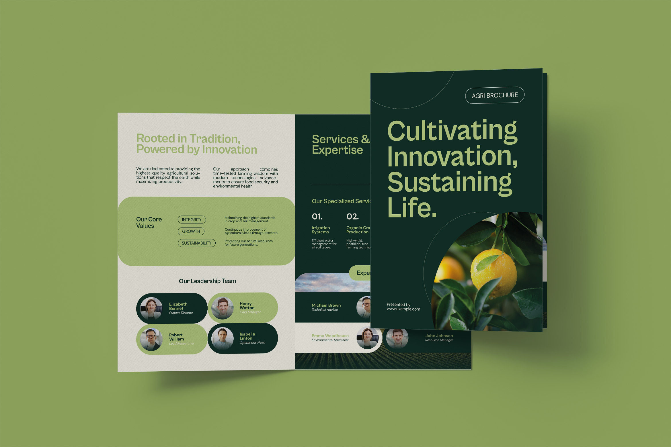 Agri Bifold Brochure, a Brochure Template by graphicook