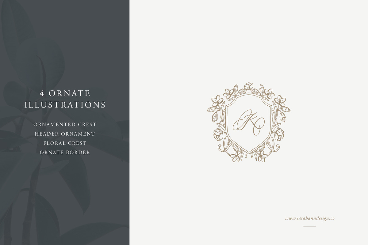 Ornate Designs: Illustration Pack, an Illustration by Sarah Ann Design