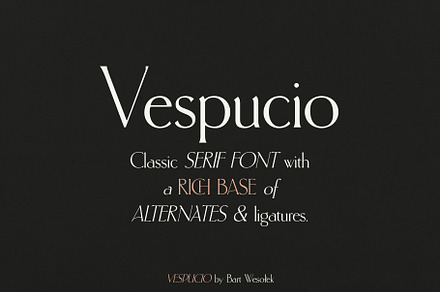 Aequitas Modern Roman | Serif Fonts ~ Creative Market
