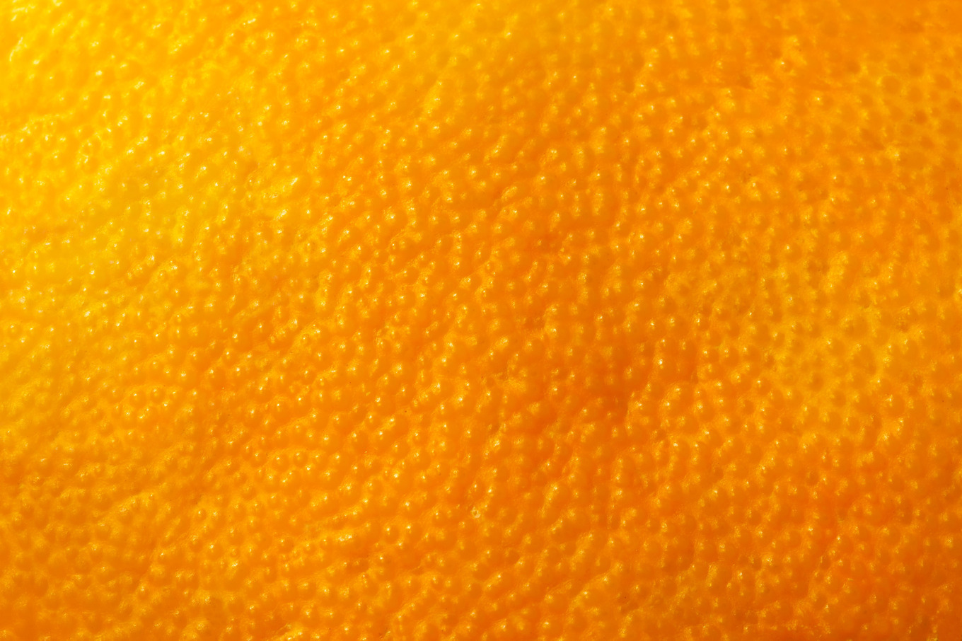 Orange fruit rind close up, a Nature Photo by Photocreo Michal Bednarek ...