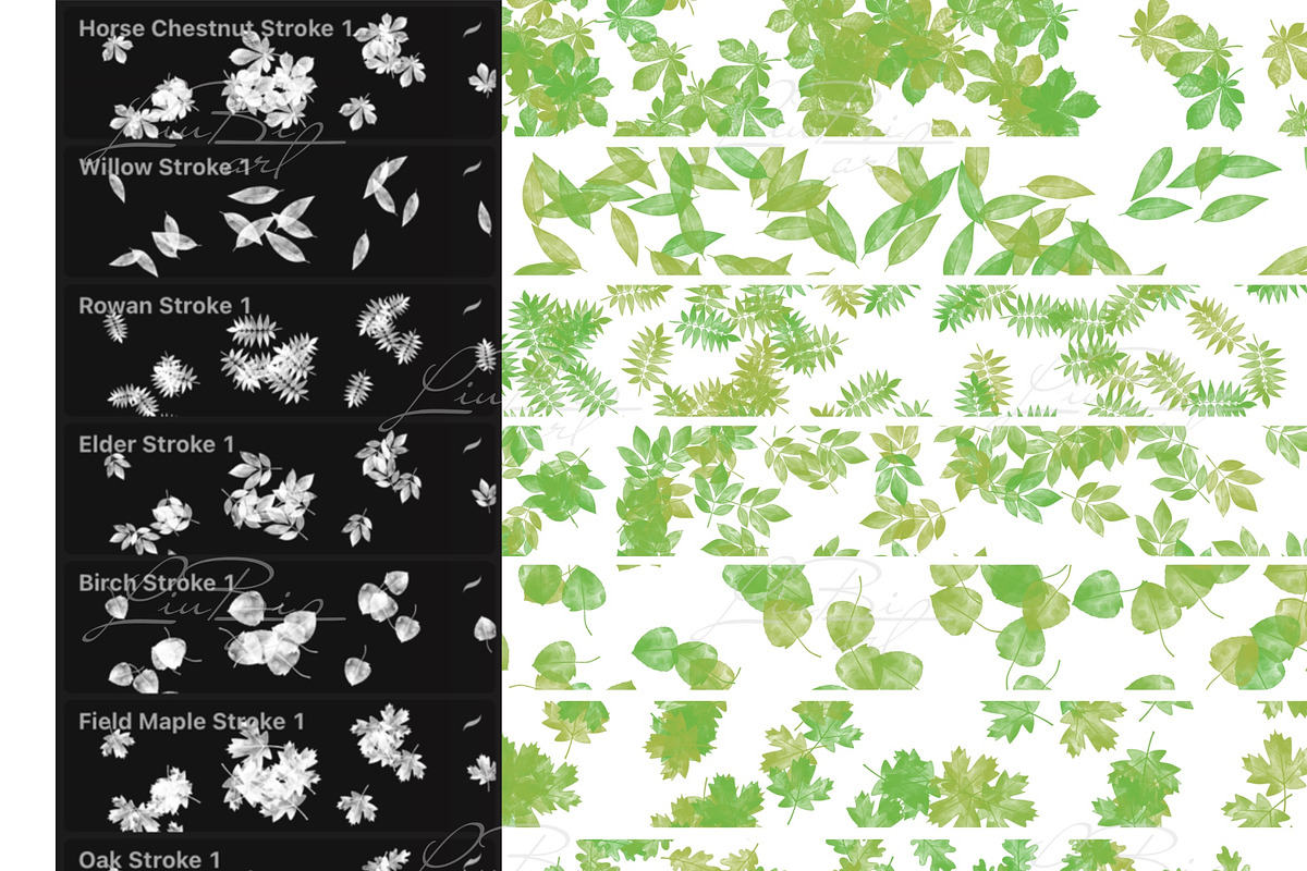 62 Procreate Tree Plan Stamps Brush, a Brush Add-On by LiuBi Art