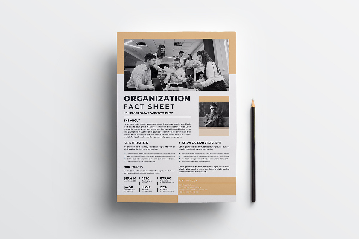 Nonprofit Organization Fact Sheet, a Flyer Template by obayes