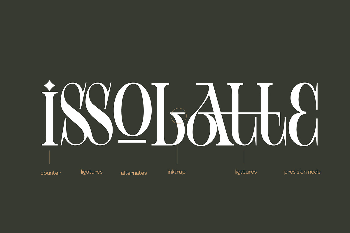 Vienna Fashion Display Serif Font