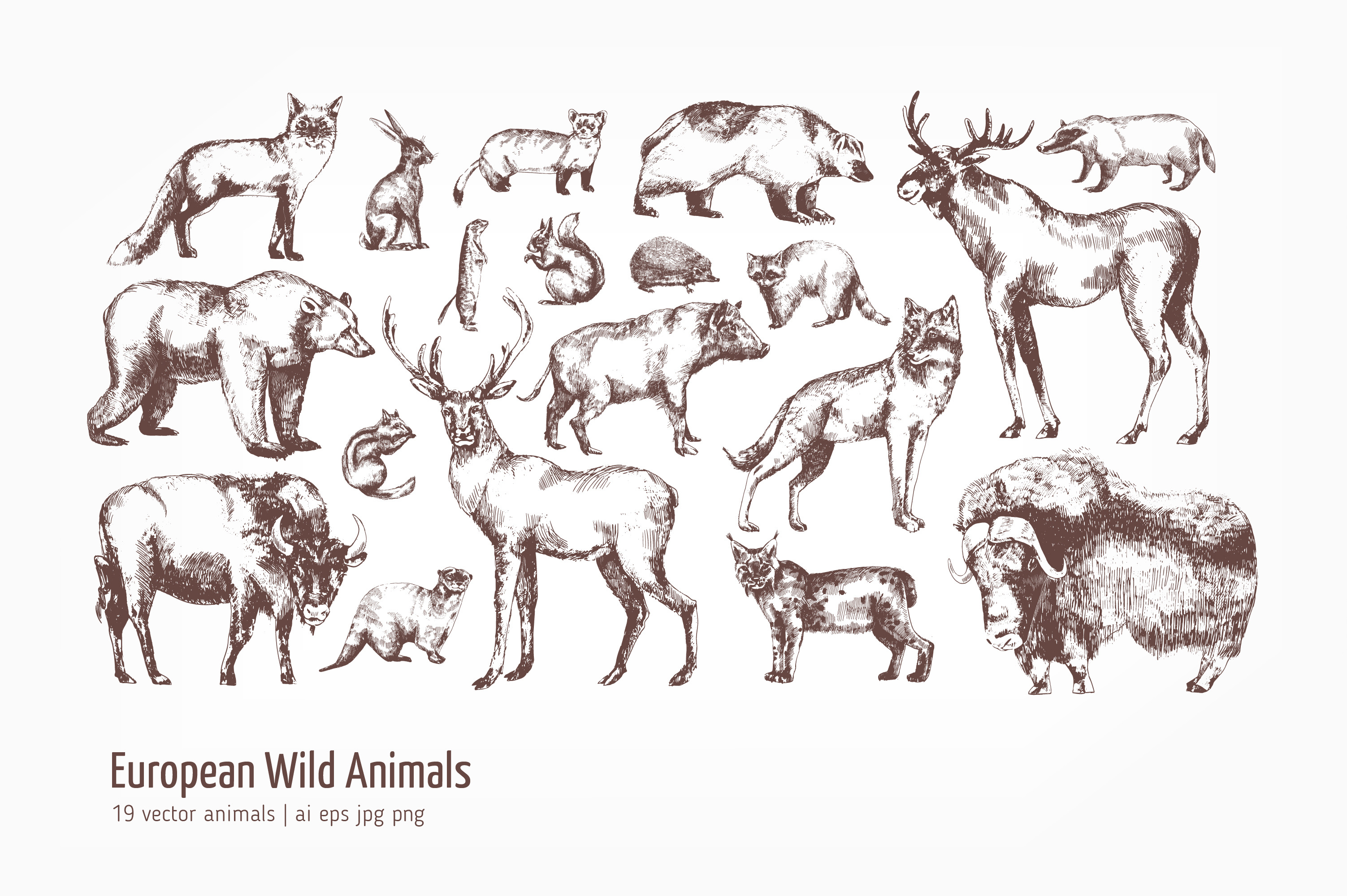 European wild animals set, an Animal Illustration by Good Studio
