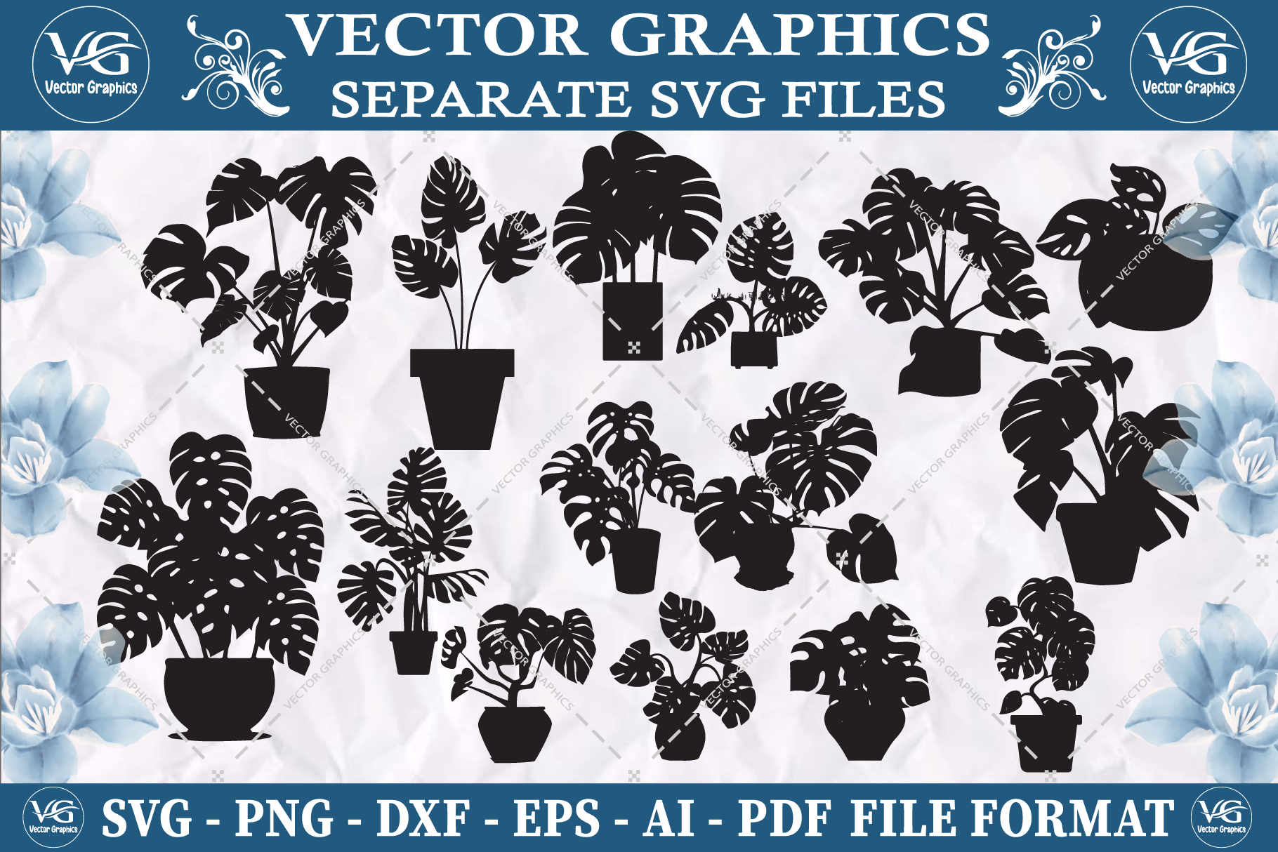 Monstera Plant SVG vector design bundle
