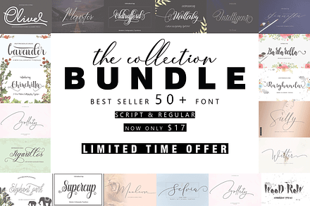 The Trendy Font BUNDLE | Script Fonts ~ Creative Market