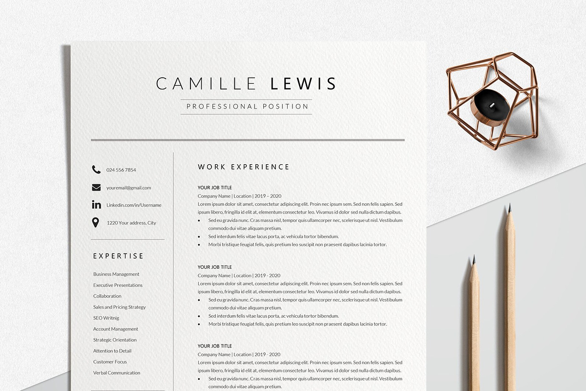 Professional Resume Design Template, a Resume Template by LucaTheme