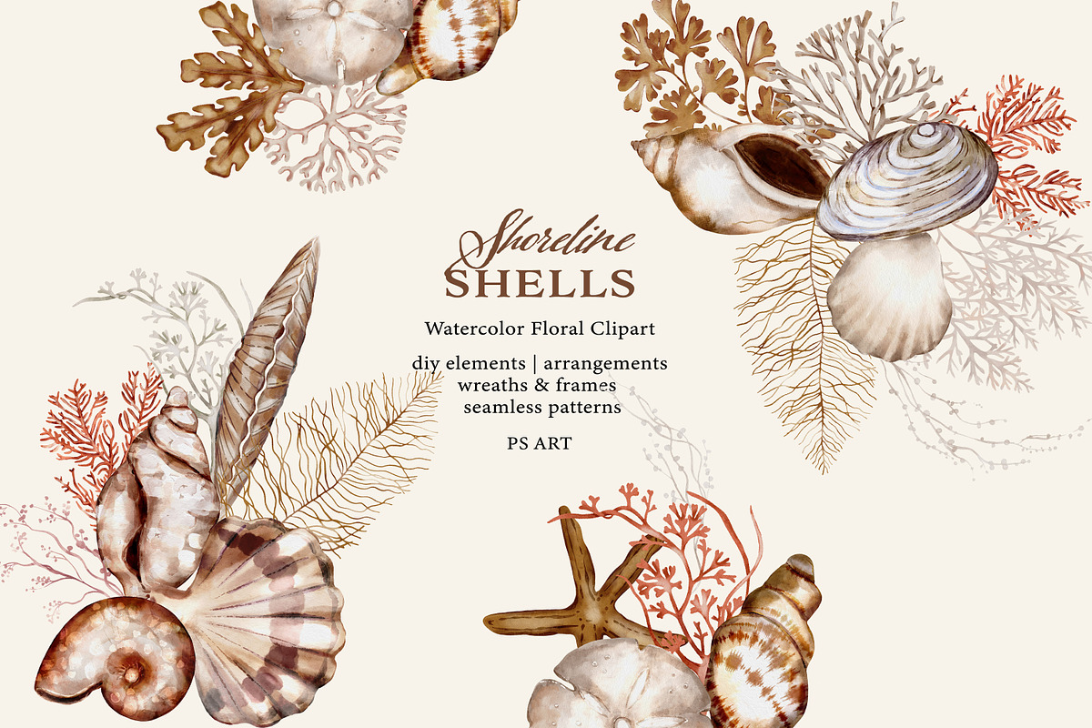 Watercolor Seashell Clipart Set, a Decorative Illustration by Pink ...