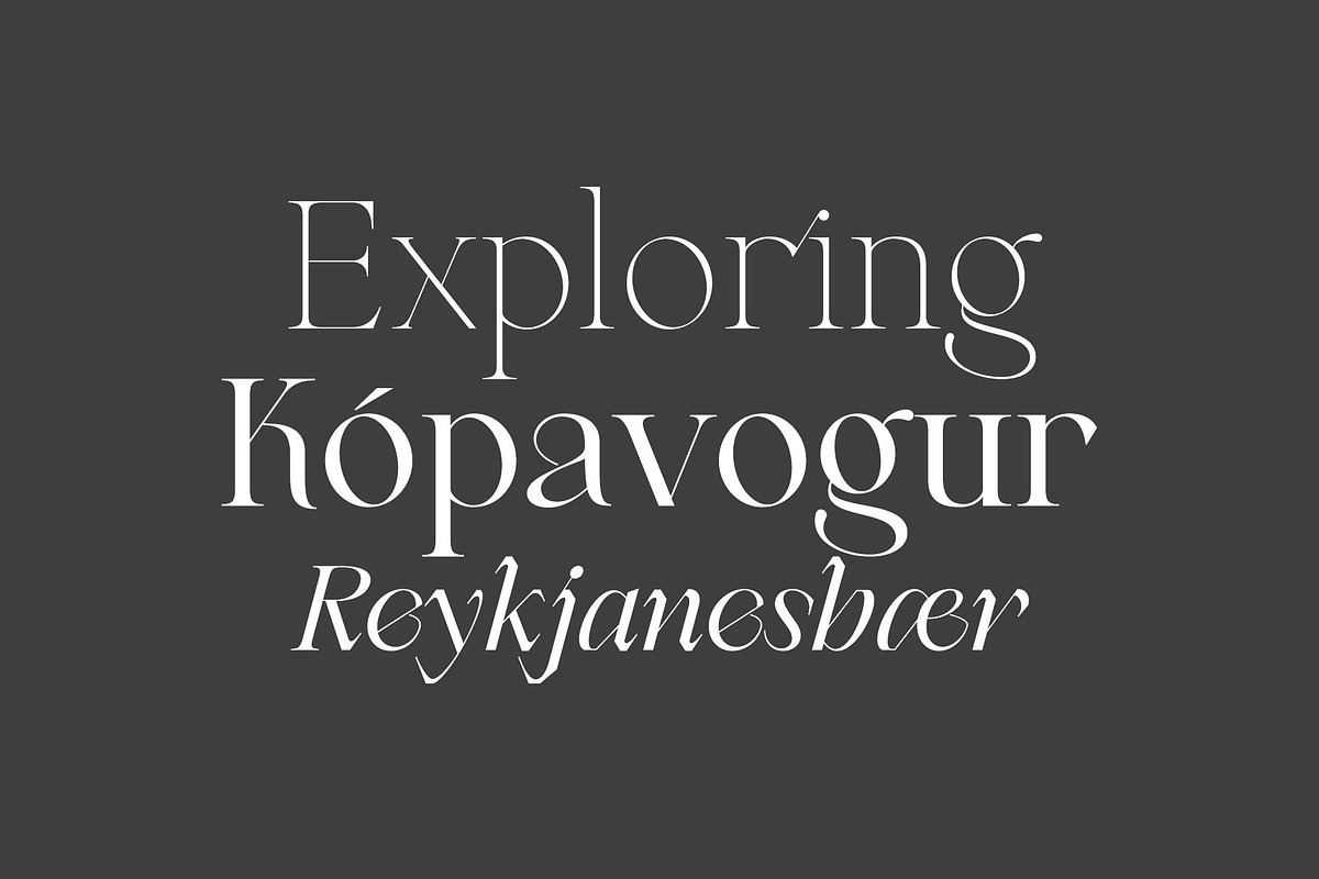 Berneray Serif Font Family, a Serif Font by Brenners