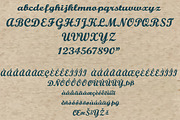 Adamina Script, a Script Font by Arys Design