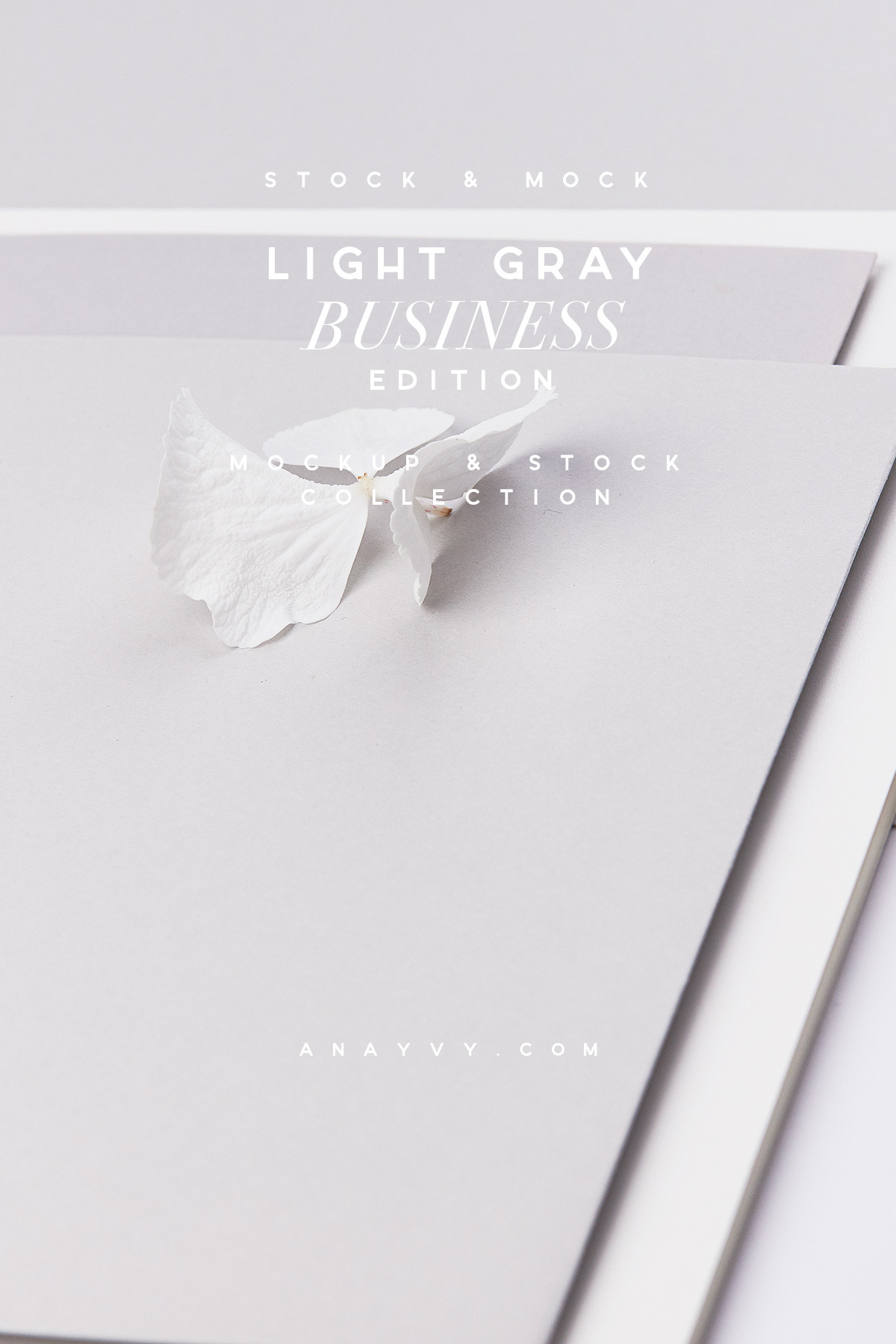LIGHT GRAY | Business Paper Mockup, a Books & Magazine Mockup by ana & yvy