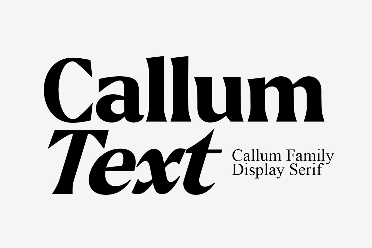 Callum Text Serif | 9 Font, a Serif Font by Positive TypeFoundry ...
