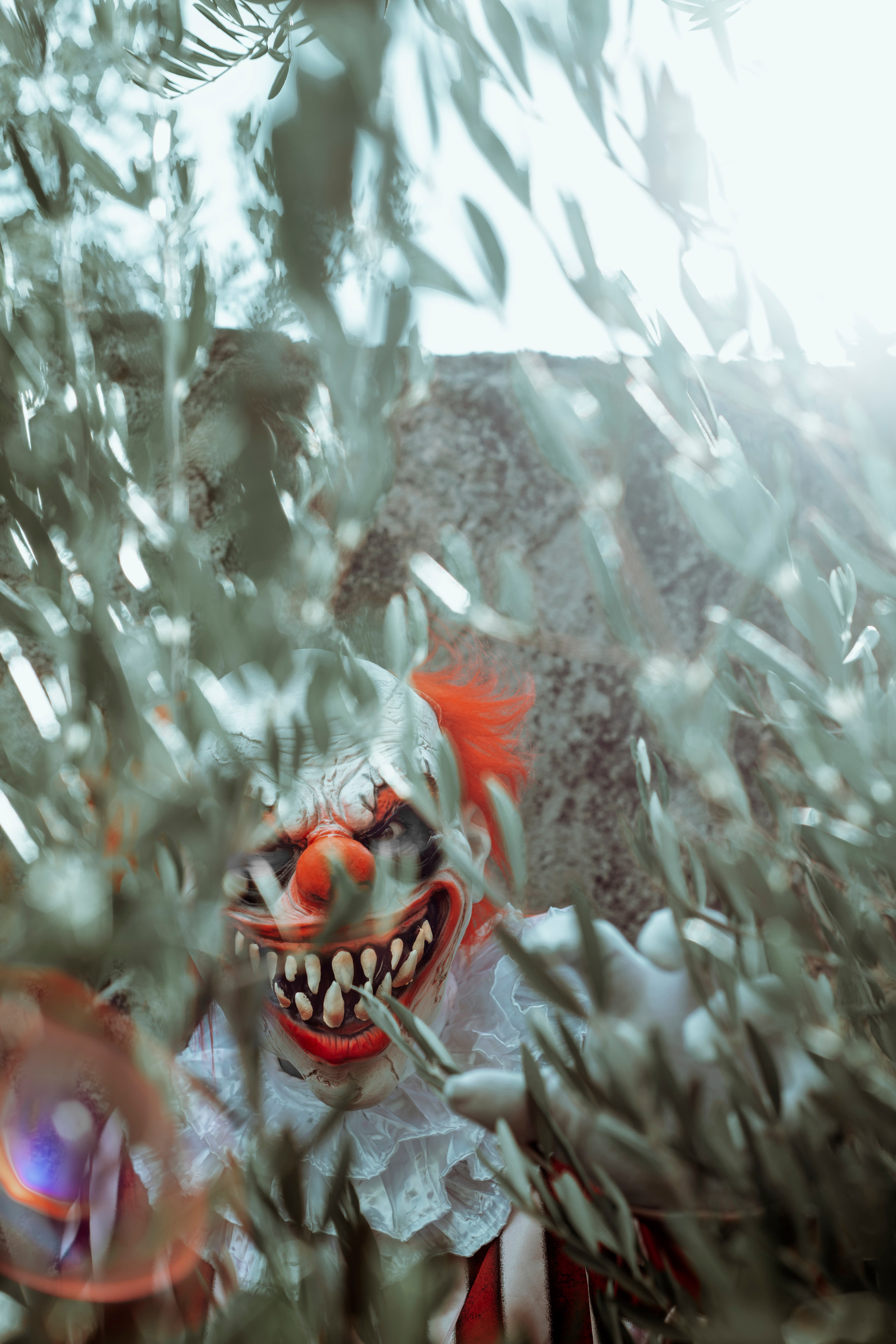 mad evil clown seen through the branches of a tree, a Photo by Nito