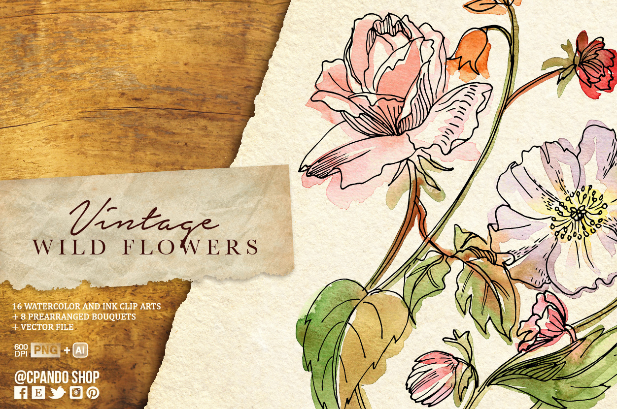 Vintage Wild Flowers watercolor | Illustrations ~ Creative Market