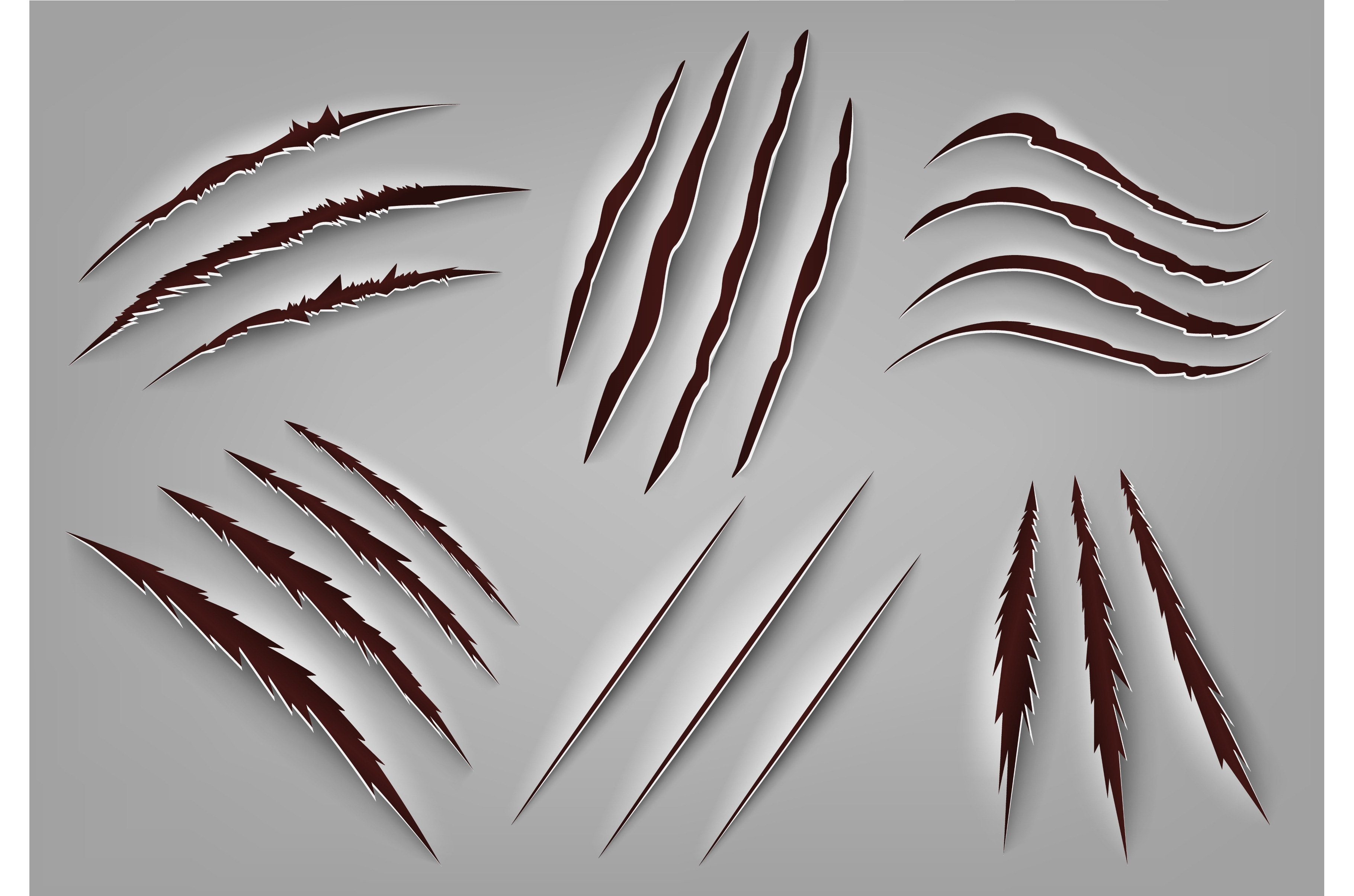 Realistic animal claw scratch. Wild, an Animal Illustration by winwin.art