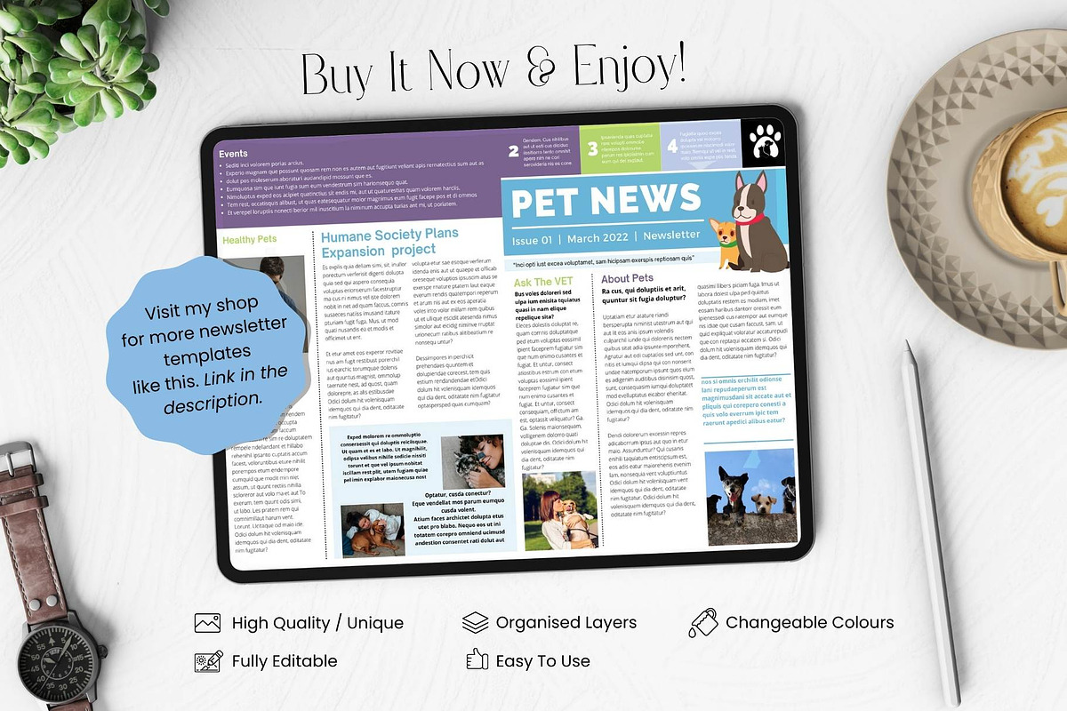 Canva newsletter template for pet care