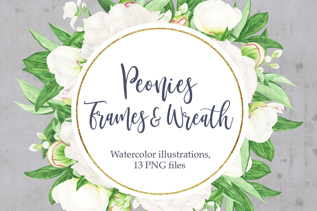 Watercolor White Peonies Frames and, a Decorative Illustration by ...
