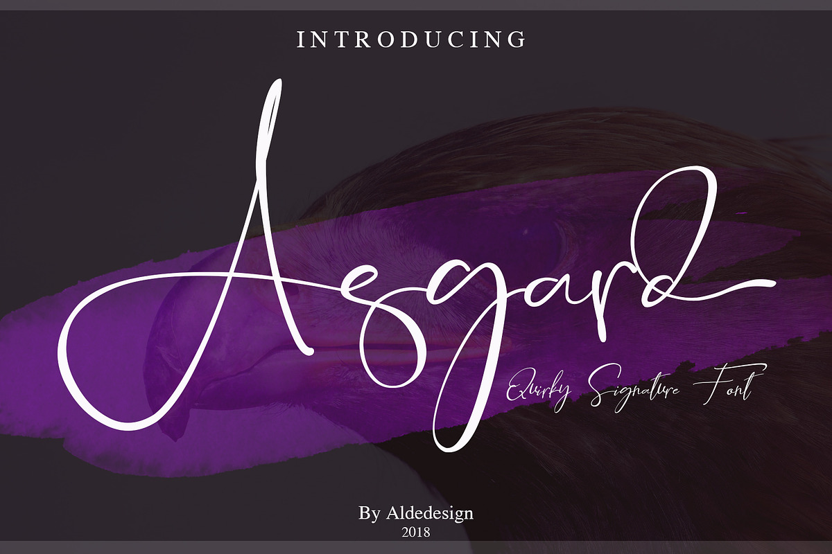 Asgard Signature Font, a Script Font by Aldedesign