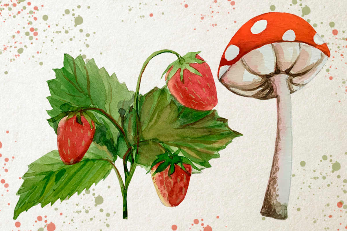 Watercolor Gnome Clip Art Set, an Illustration by Tati Bordiu