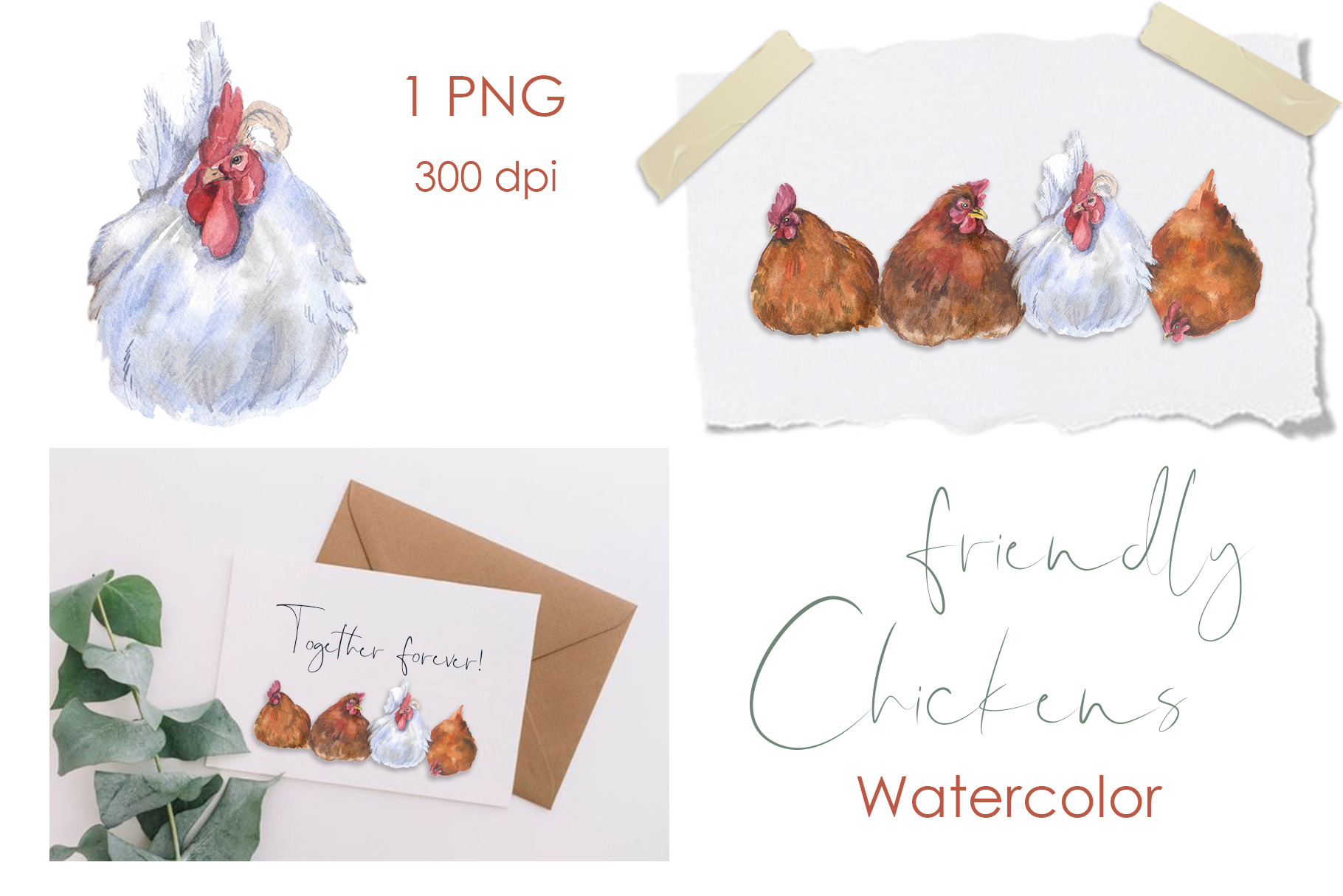 Watercolor farm Clipart Cute chicken, an Animal Illustration by ...