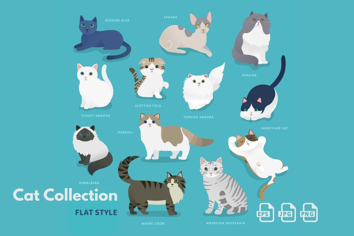 Cute Cat Collection, an Animal Illustration by TotallypicRF