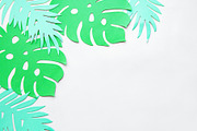 Paper monstera leaves featuring tropical, green, and background, an ...