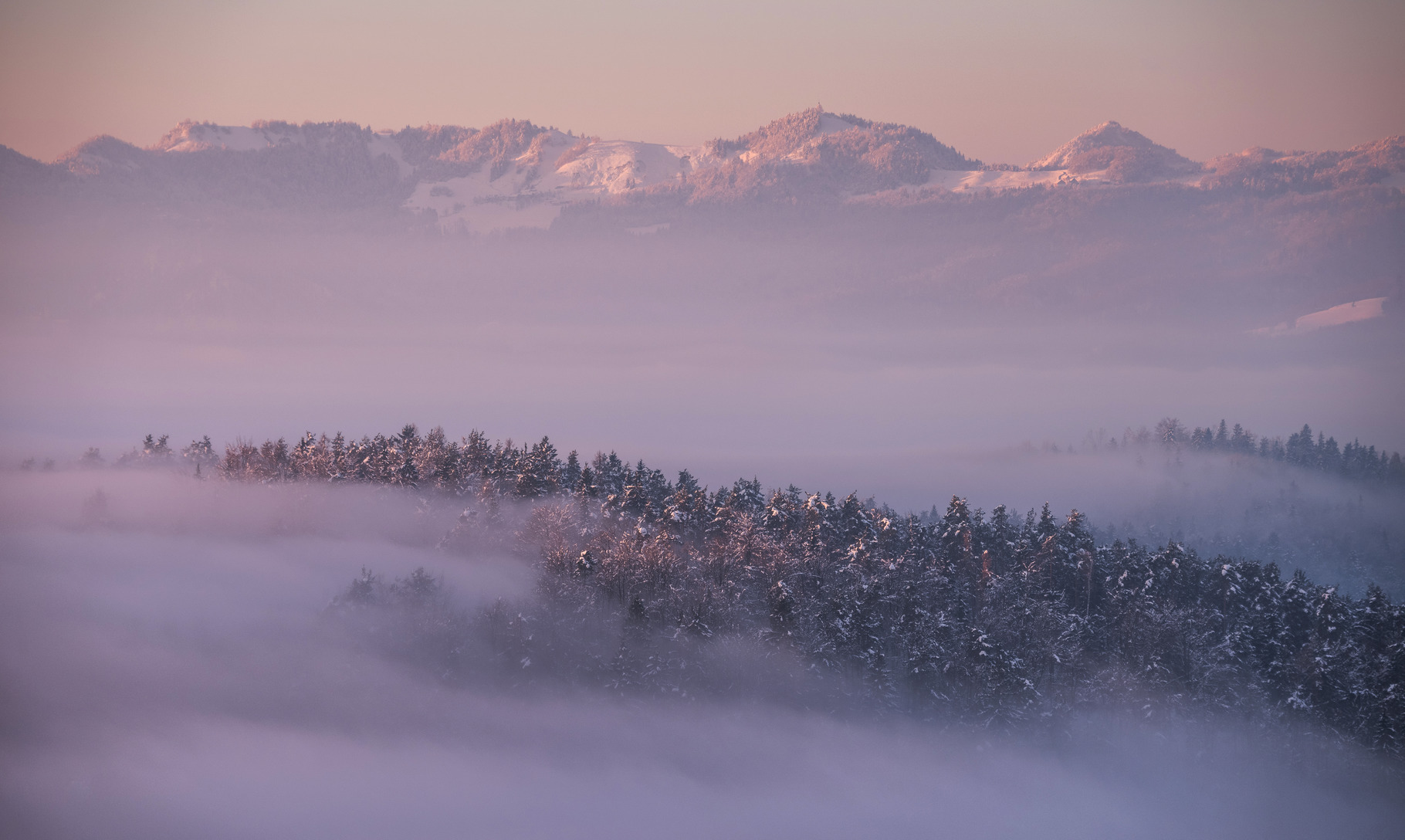 Winter morning with mist featuring alpine, background, and beautiful, a ...