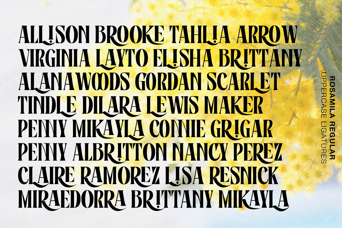 Rosamila Display, a Serif Font by Stripes Studio