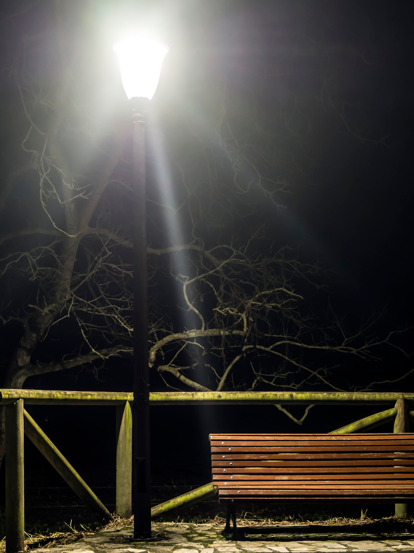 bench and streetlight, an Architecture Photo by Aljndr