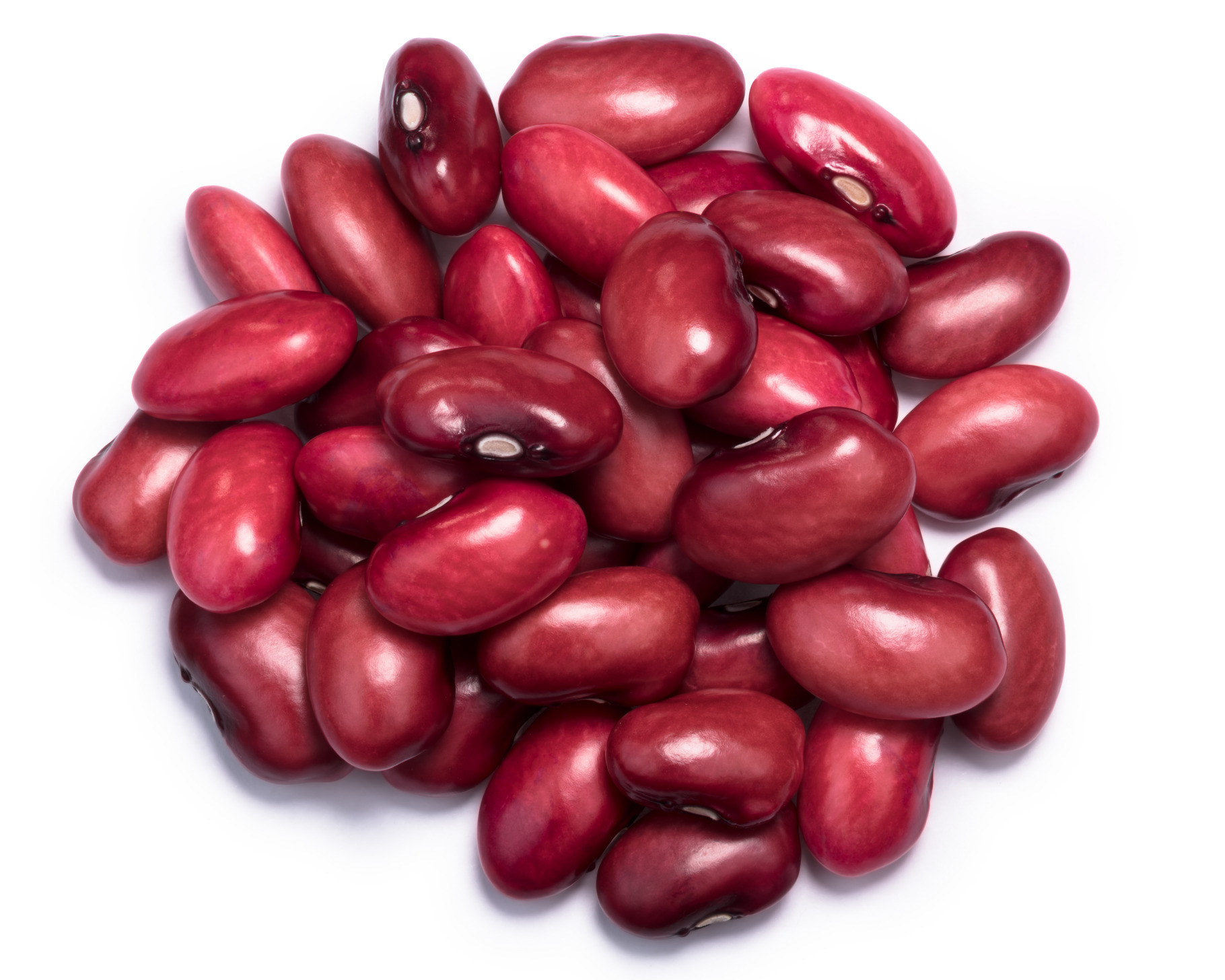 Pile of red beans, a Food & Drink Photo by Hortimages