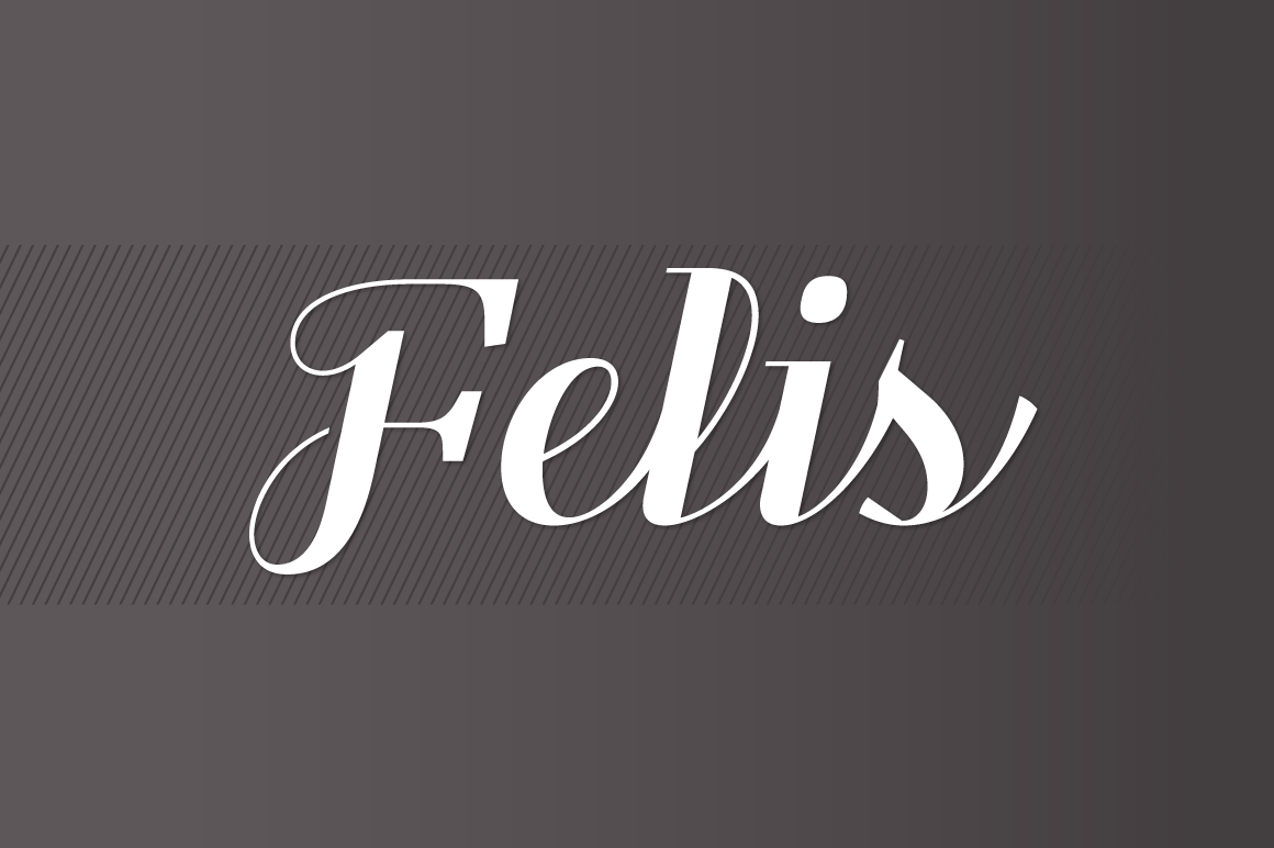 Felis Script, a Script Font by Typomancer