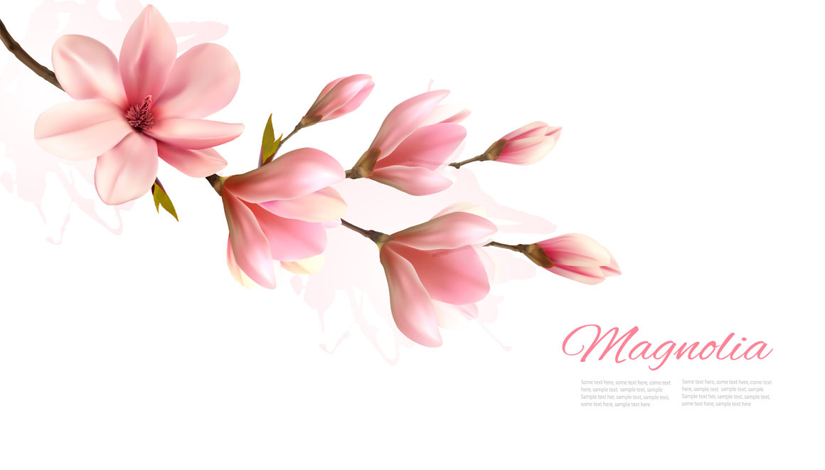 Abstract spring background, a Seasonal Illustration by ecco