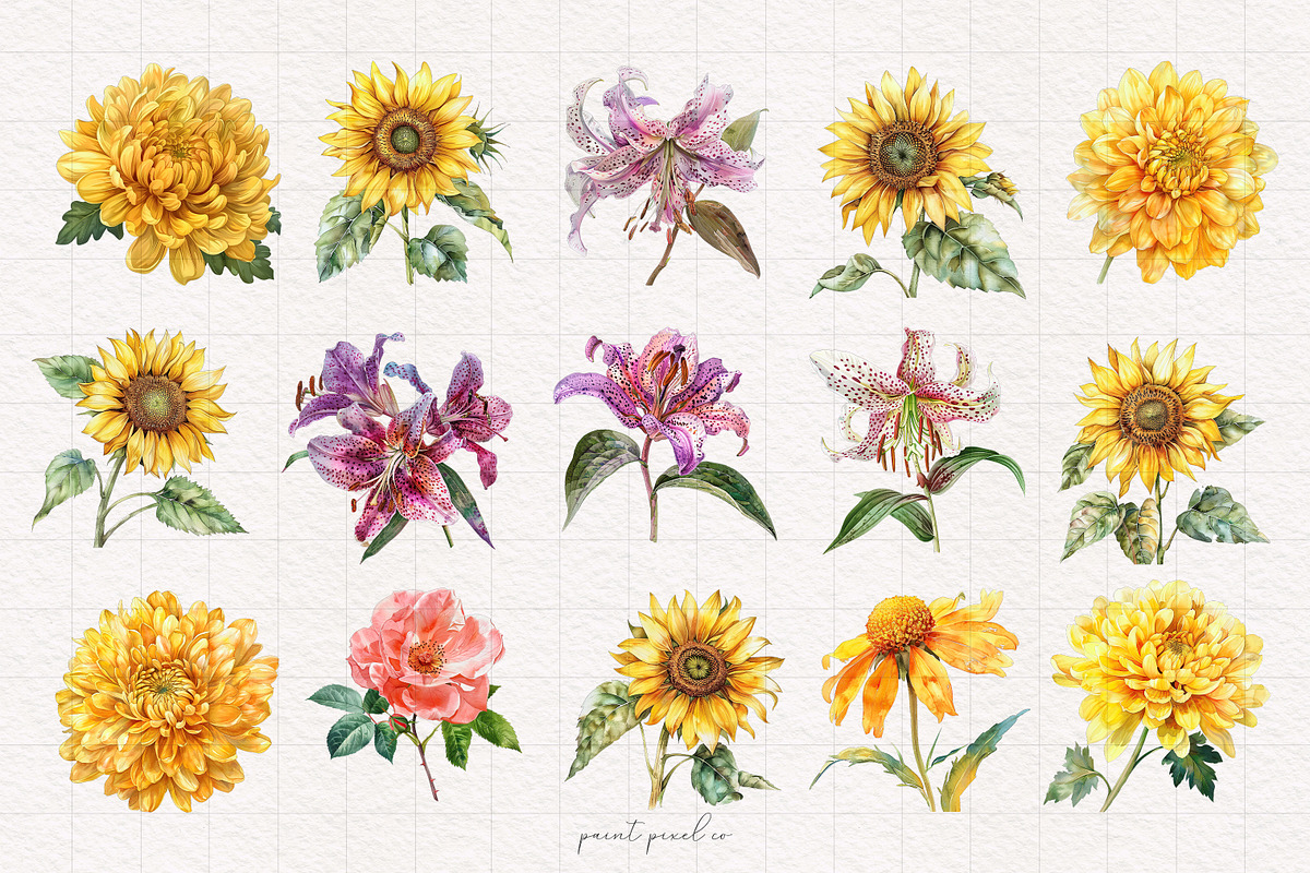 Autumn Flowers Clip art, a Decorative Illustration by PaintPixelCo