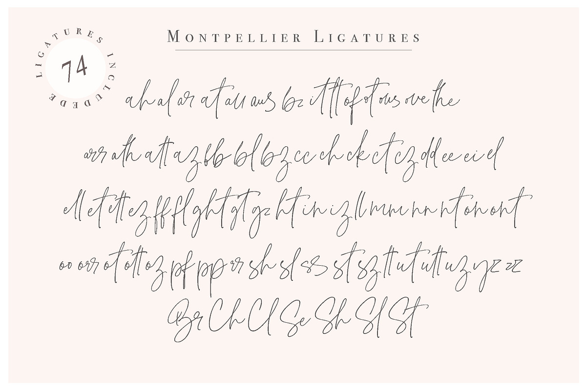 Montpellier | Signature Font, a Script Font by Calamar Studio