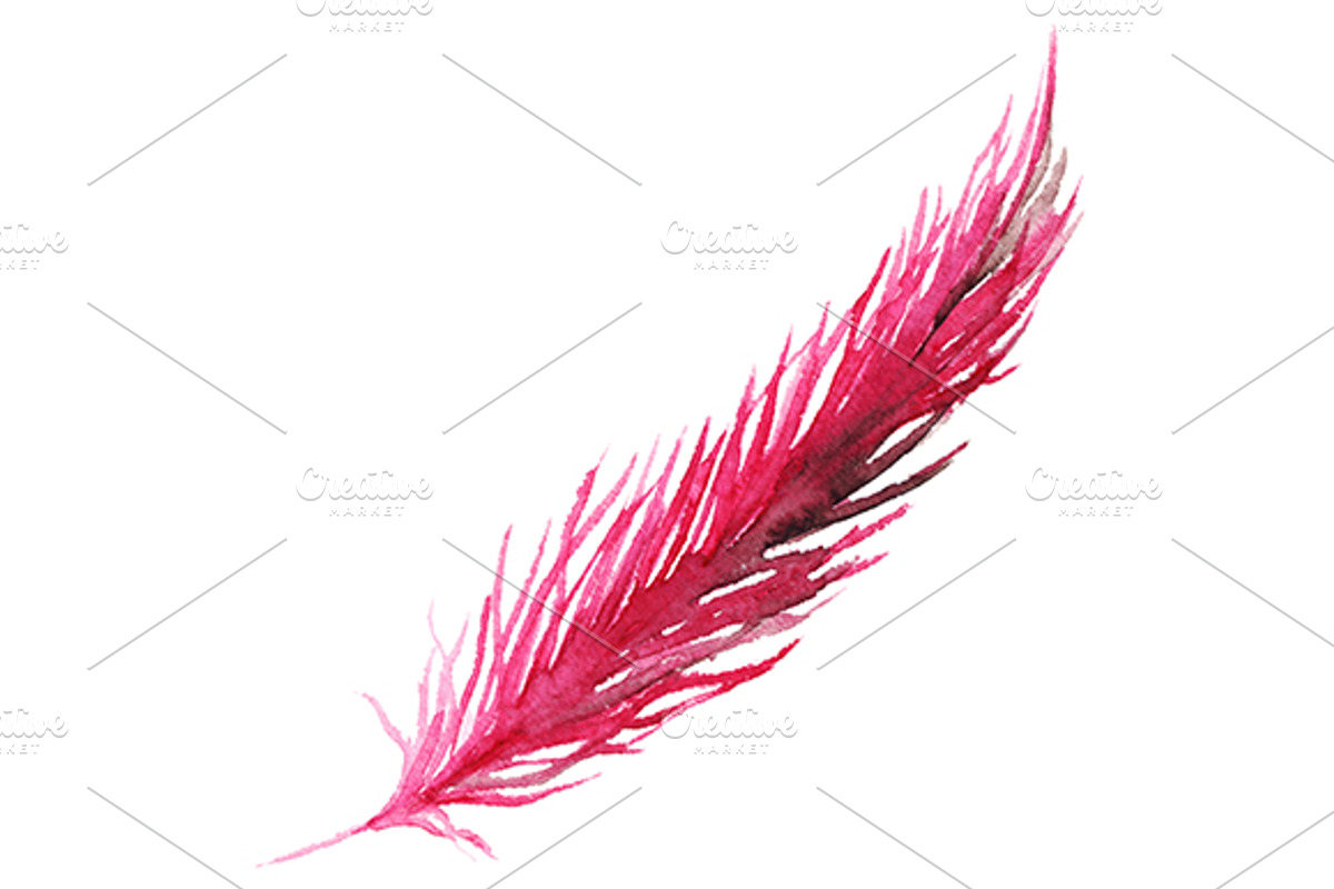 Watercolor pink bird feather, an Animal Illustration by Art By Silmairel