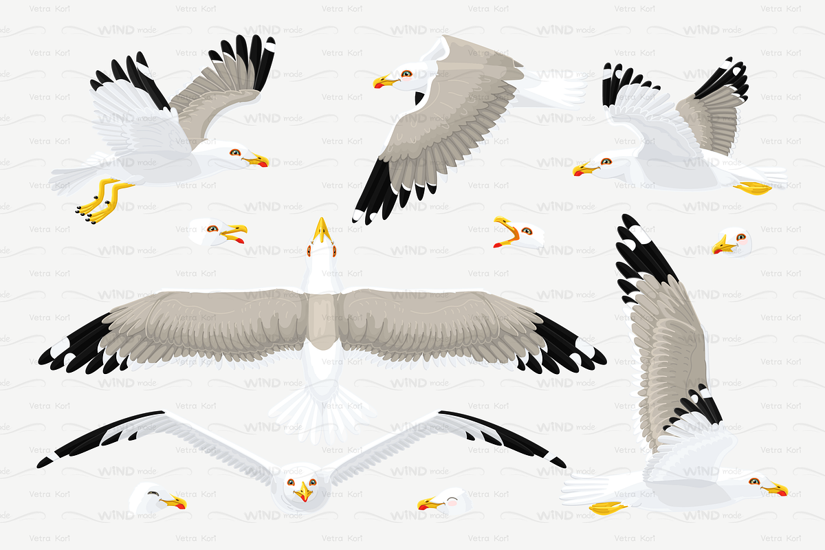 vector seagull sea gull set, a Pattern Graphic by WINDmade