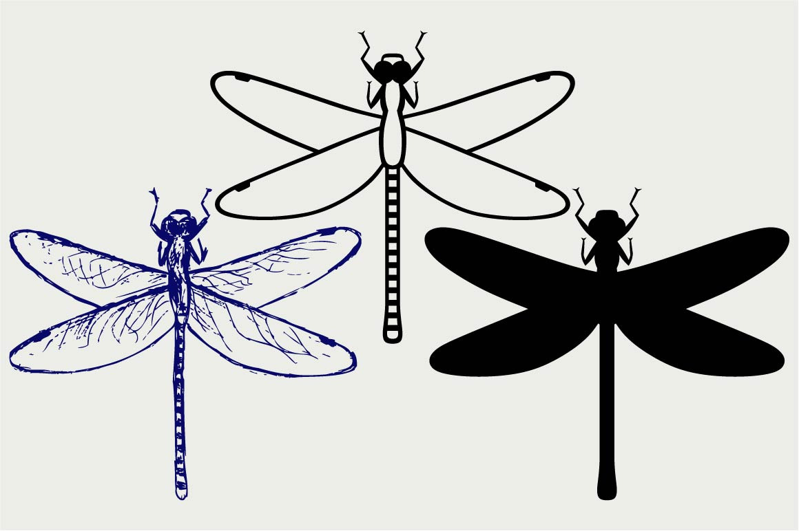 Dragonfly SVG, an Outline Icon by LineworkStock
